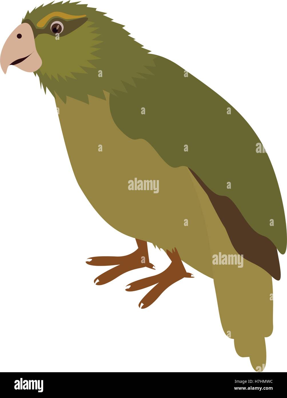 kakapo bird icon over white background. new zealand symbol. vector ...