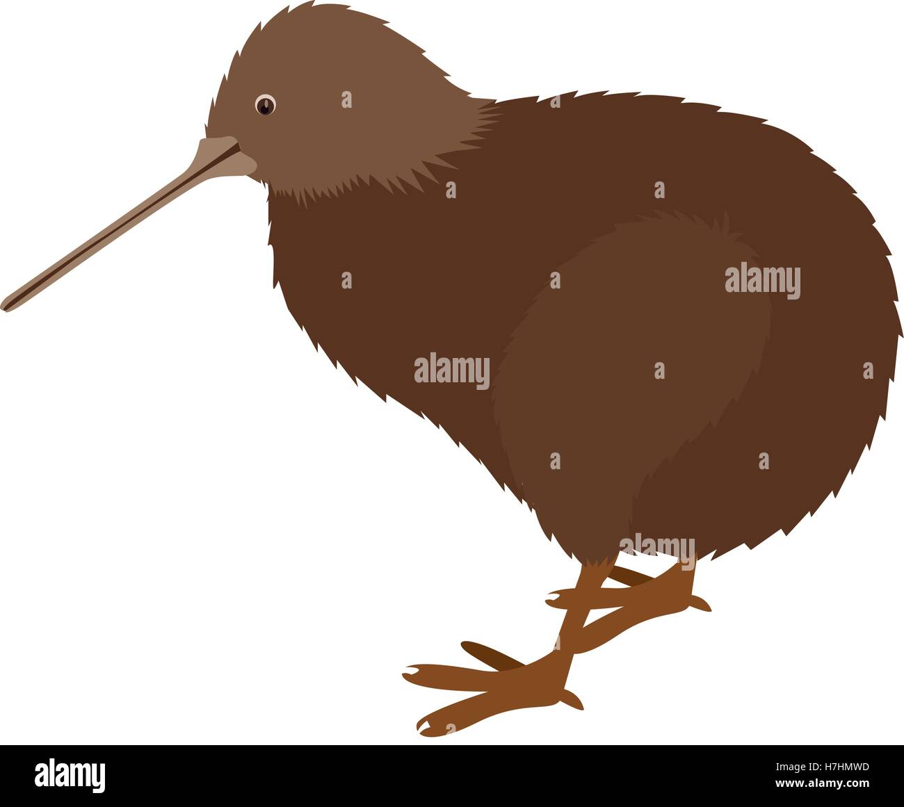 kiwi bird icon over white background. new zealand symbol. vector ...