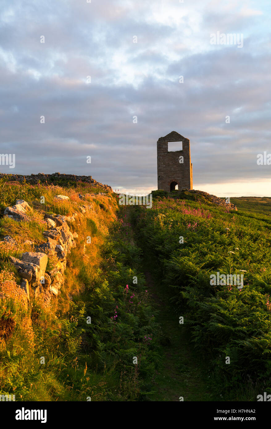 Warm evening light on Wheal Edward Mine at Botallack Cornwall Stock ...