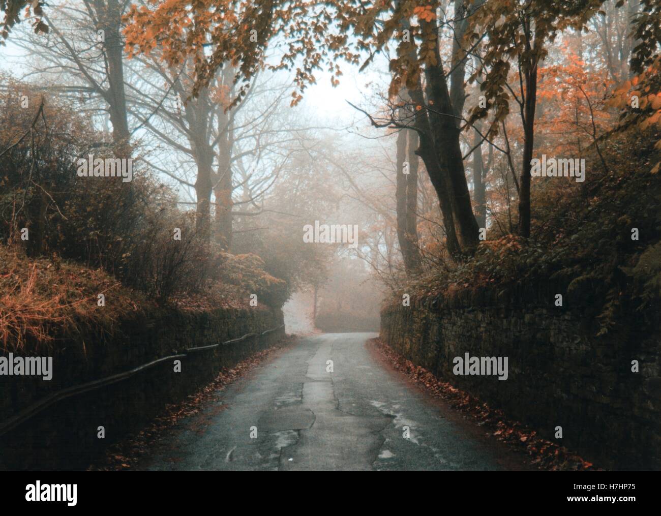 Rake Lane High Resolution Stock Photography and Images - Alamy