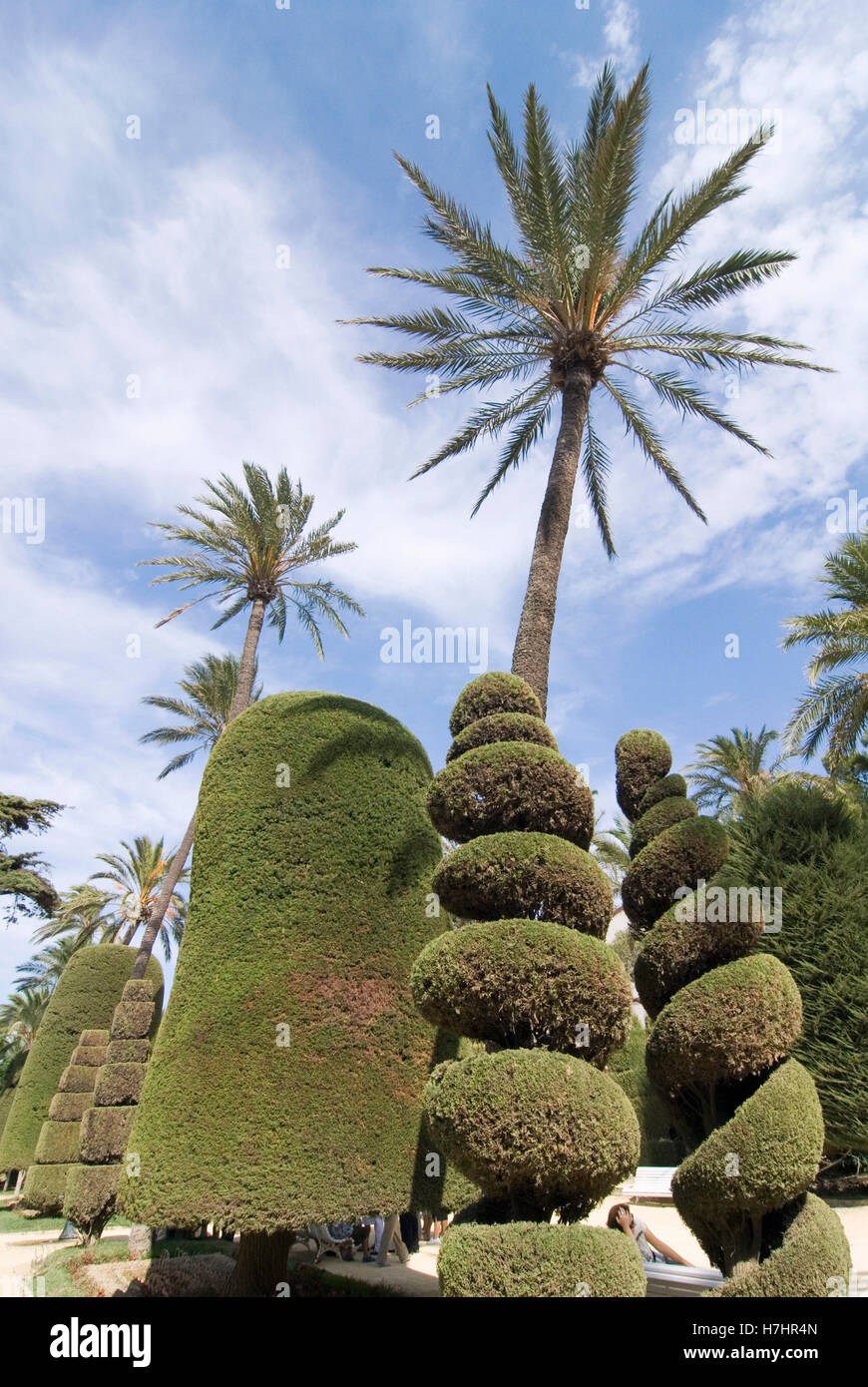 Parque Genovés park in Cadiz, Andalusia, Spain, Europe Stock Photo - Alamy