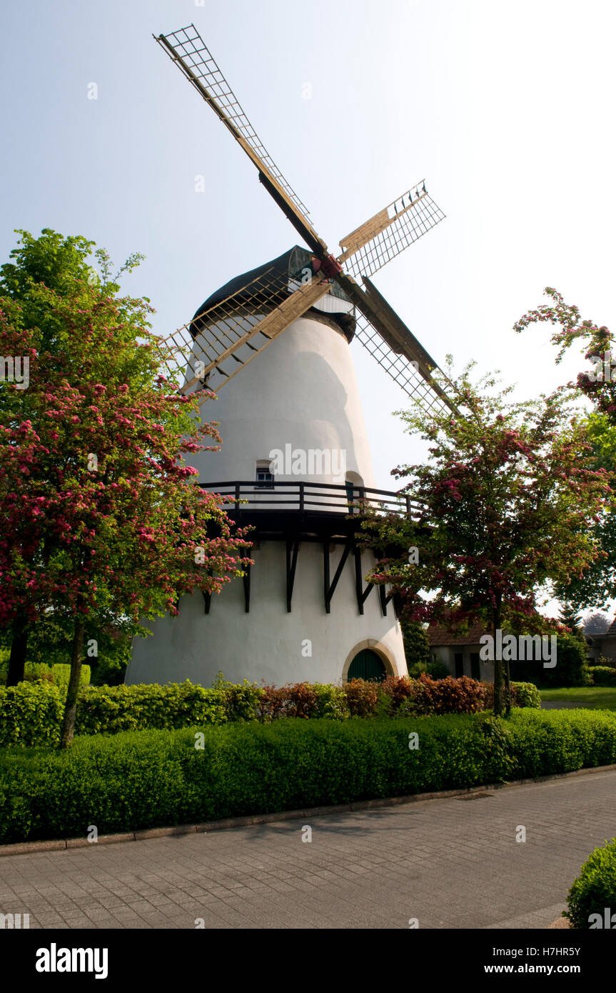Smock windmill, Glandorf, Osnabruecker Land region, Lower Saxony Stock ...