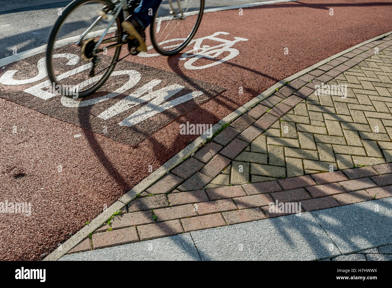 Cyclist on a cycle lane displaying 'Slow' sign, Sheffield Stock Photo ...
