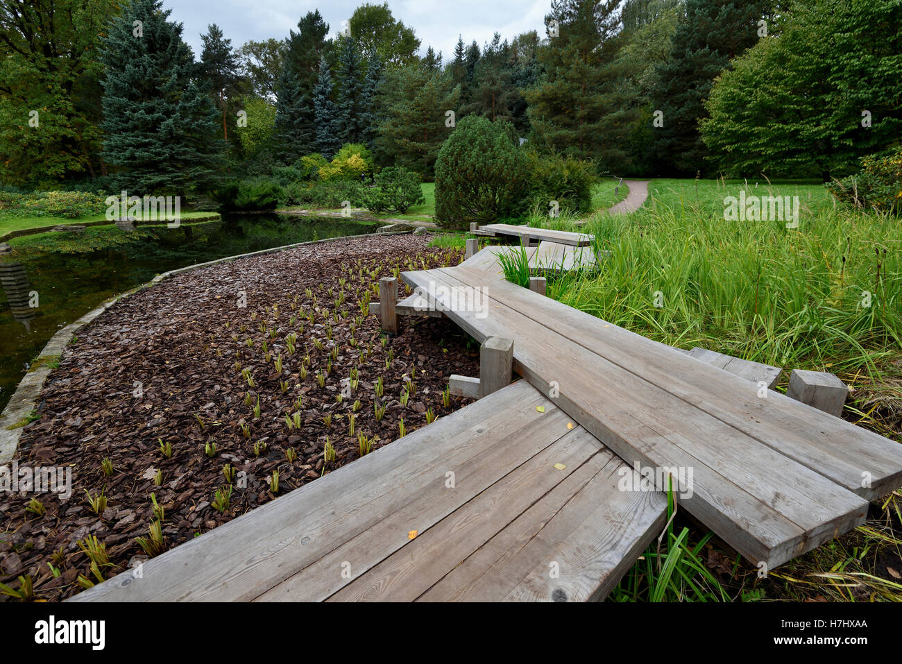 footpath in the park from boards on the bank of a stream Stock Photo ...