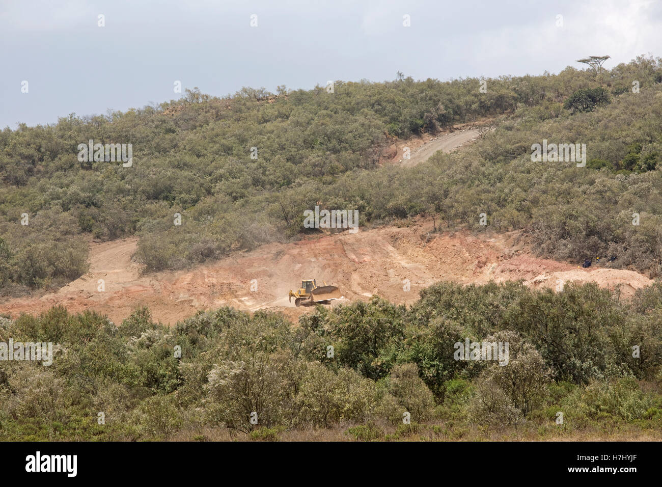Bulldozer clearing bush for geothermal drilling Hells Gate National ...