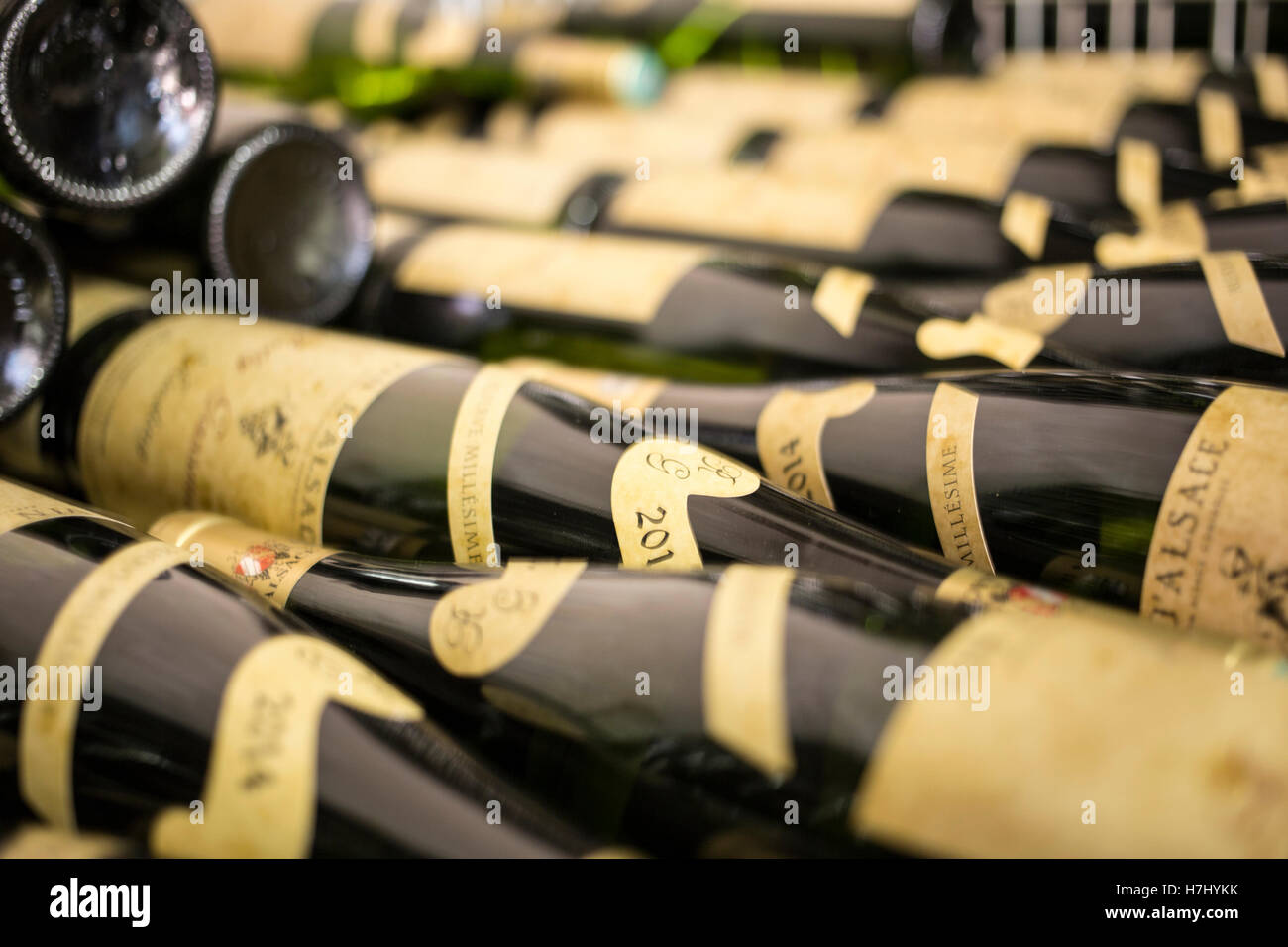 Rolly Gassmann vineyard in Rorschwihr in the Alsace wine region of ...