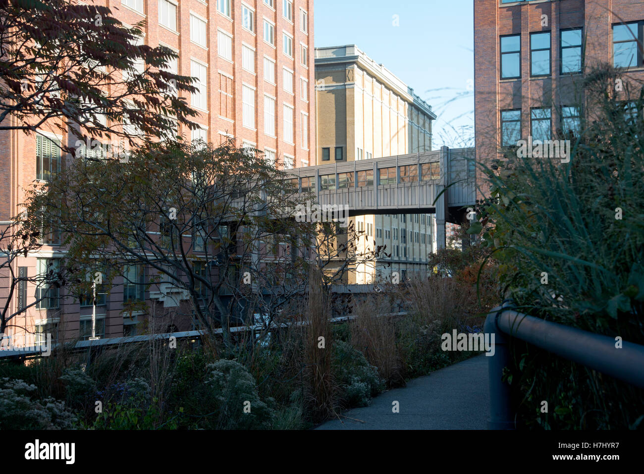 New York City - The Highline park passes over West side Manhattan ...