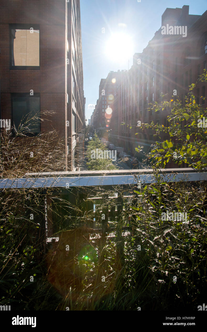 New York City - The Highline park passes over West side Manhattan ...