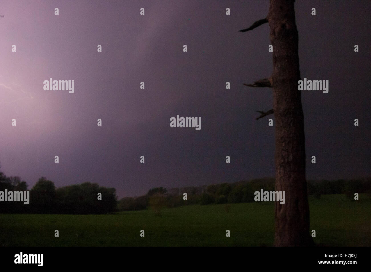 Lightning strike tree hi-res stock photography and images - Alamy