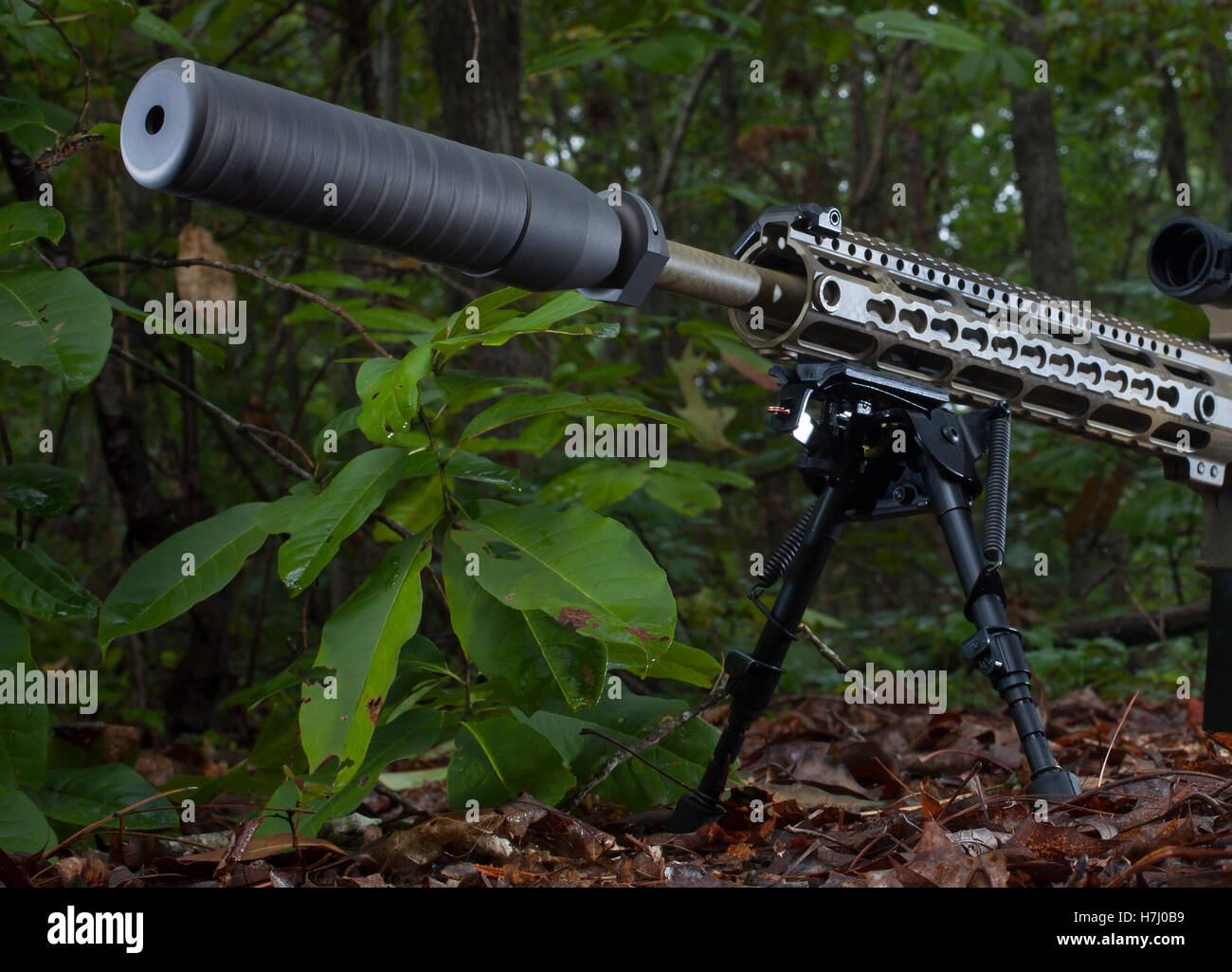 Modern sporting rifle with a suppressor on in the forest Stock Photo ...