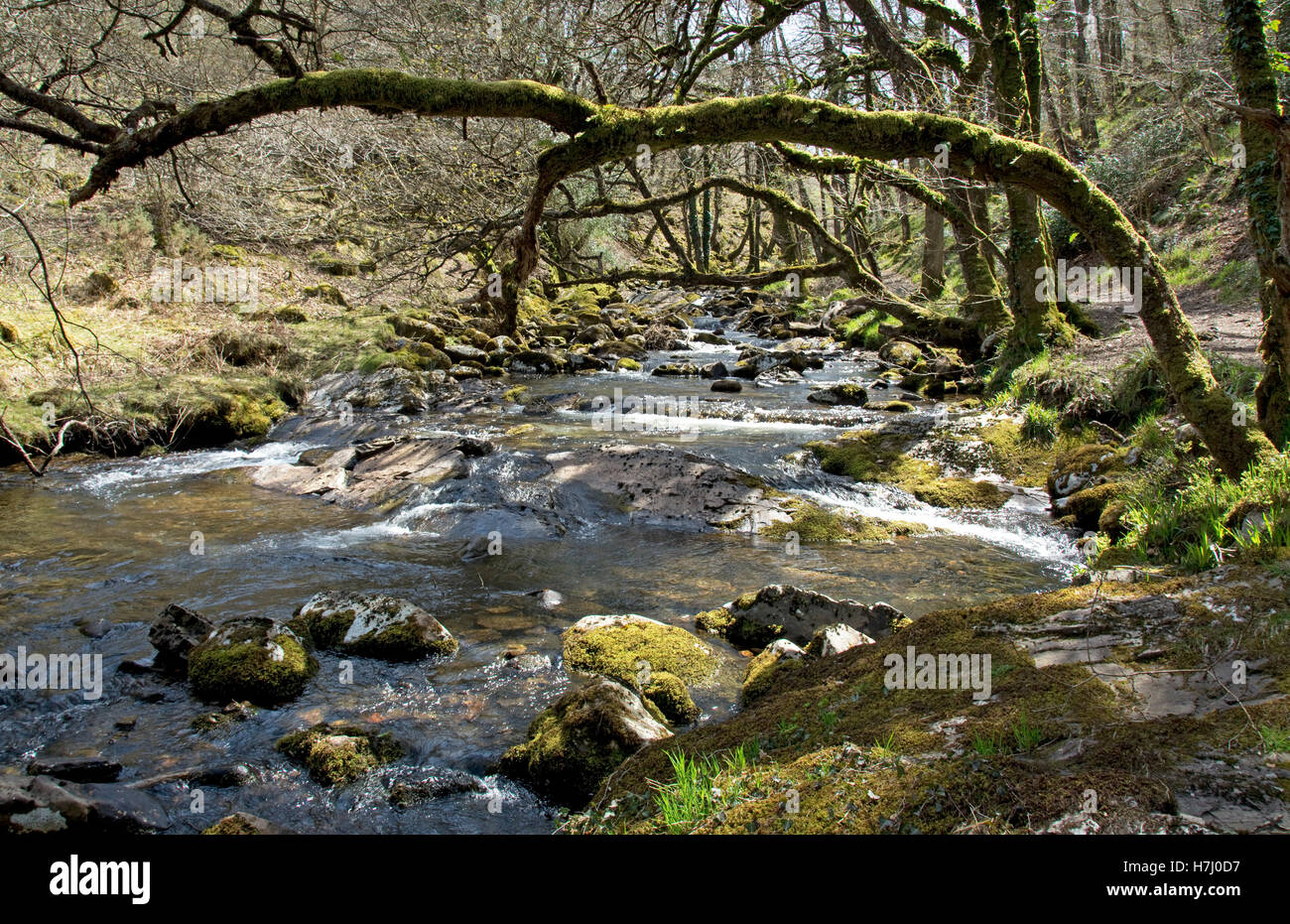 The East Okement River upstream from Okehampton, on the northwestern ...