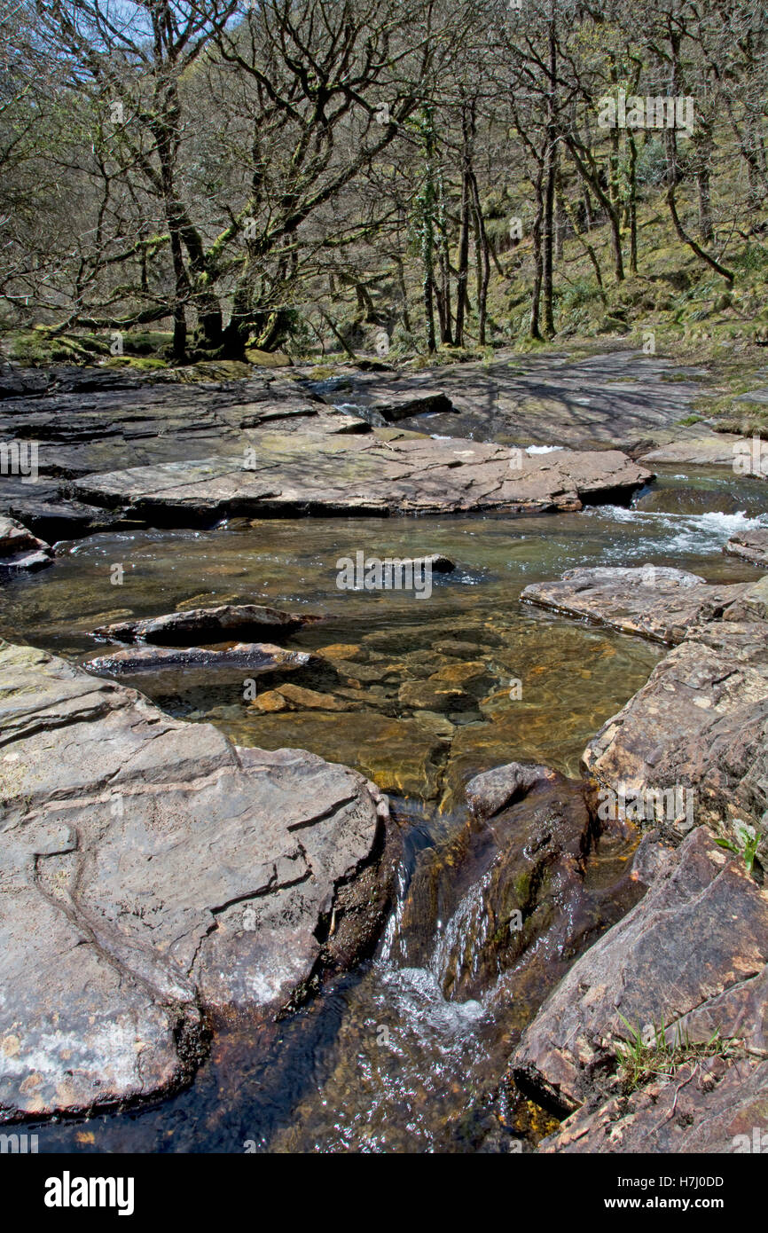 The East Okement River upstream from Okehampton, on the northwestern ...