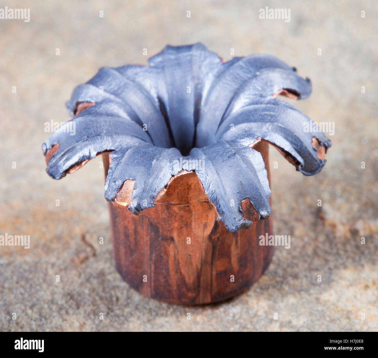 Copper and lead hollow point bullet after it has expanded Stock Photo ...