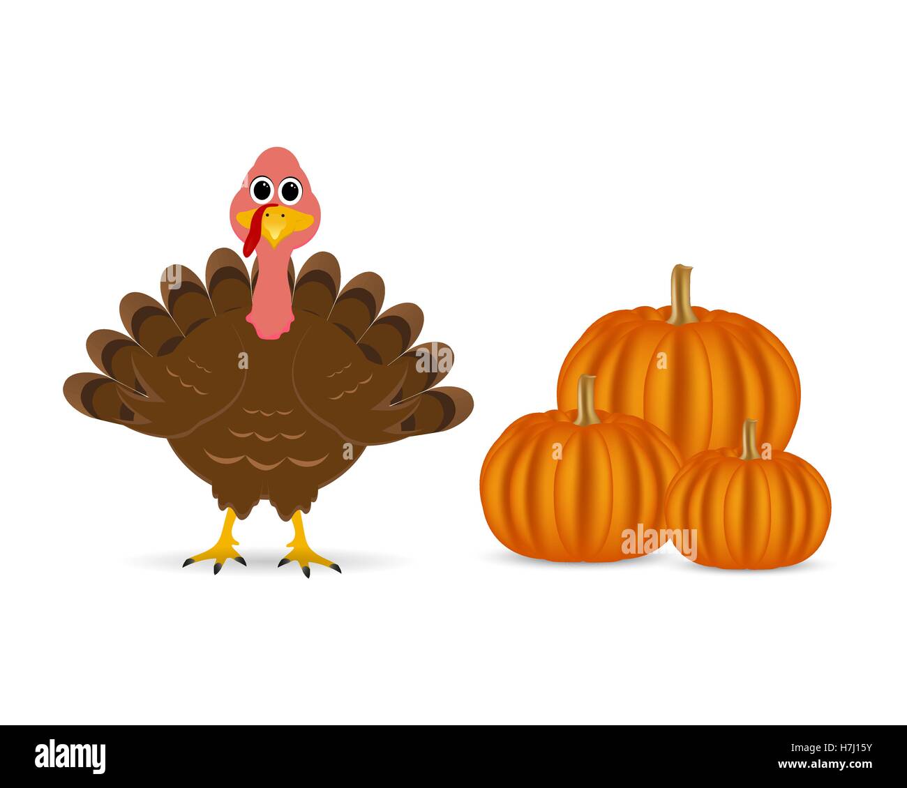Thanksgiving background pumpkins on Stock Vector Images - Alamy