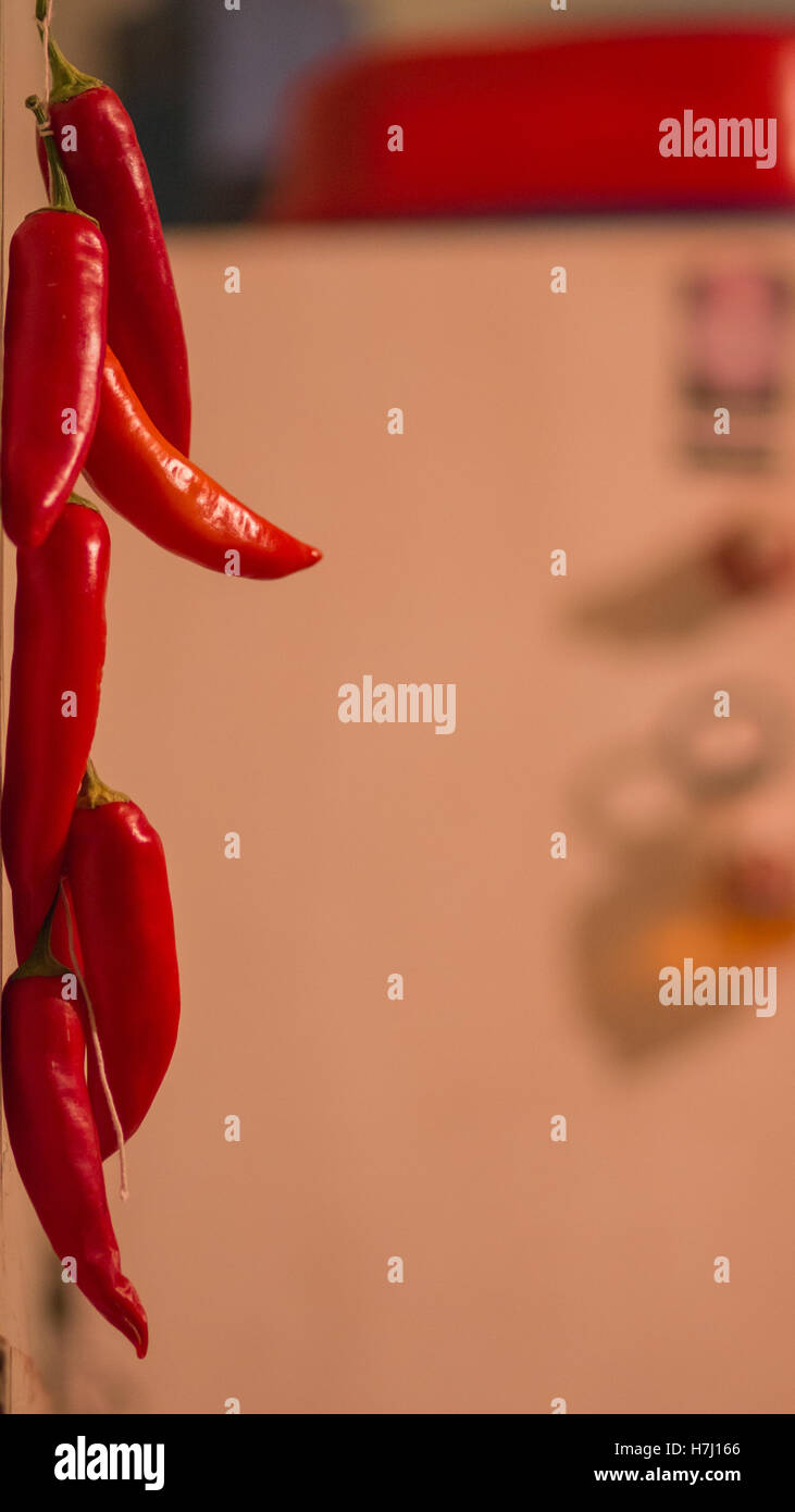 Refrigerador hi-res stock photography and images - Alamy