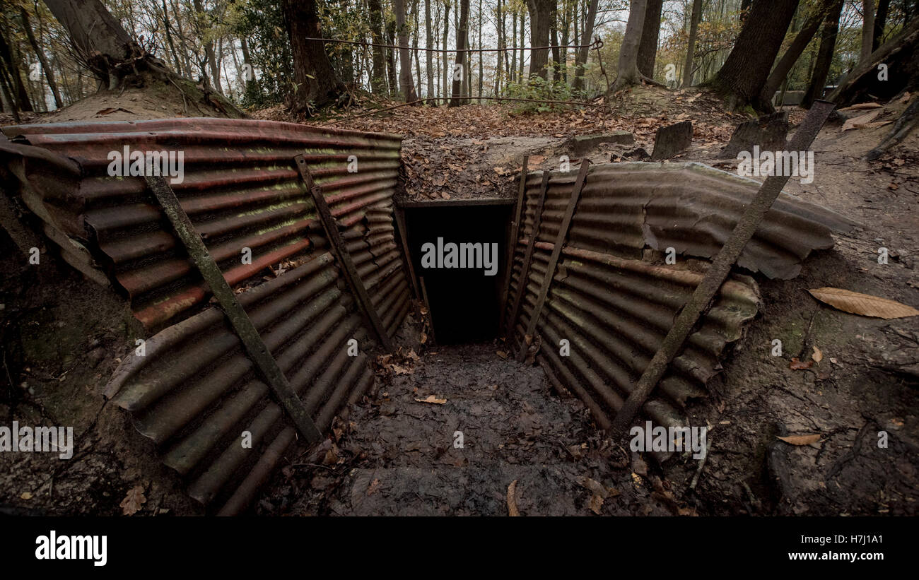 First world war trenches Stock Photo - Alamy