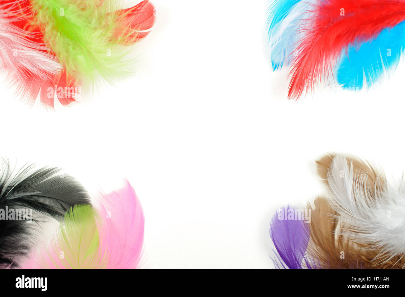 Colorful feathers border Stock Photo - Alamy