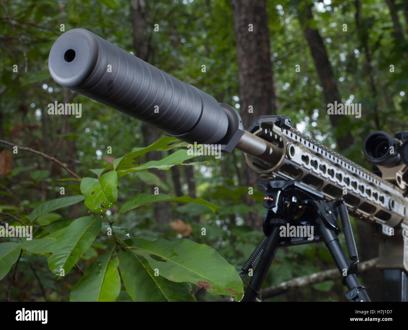 Silencer mounted on a modern sporting rifle in the trees Stock Photo ...