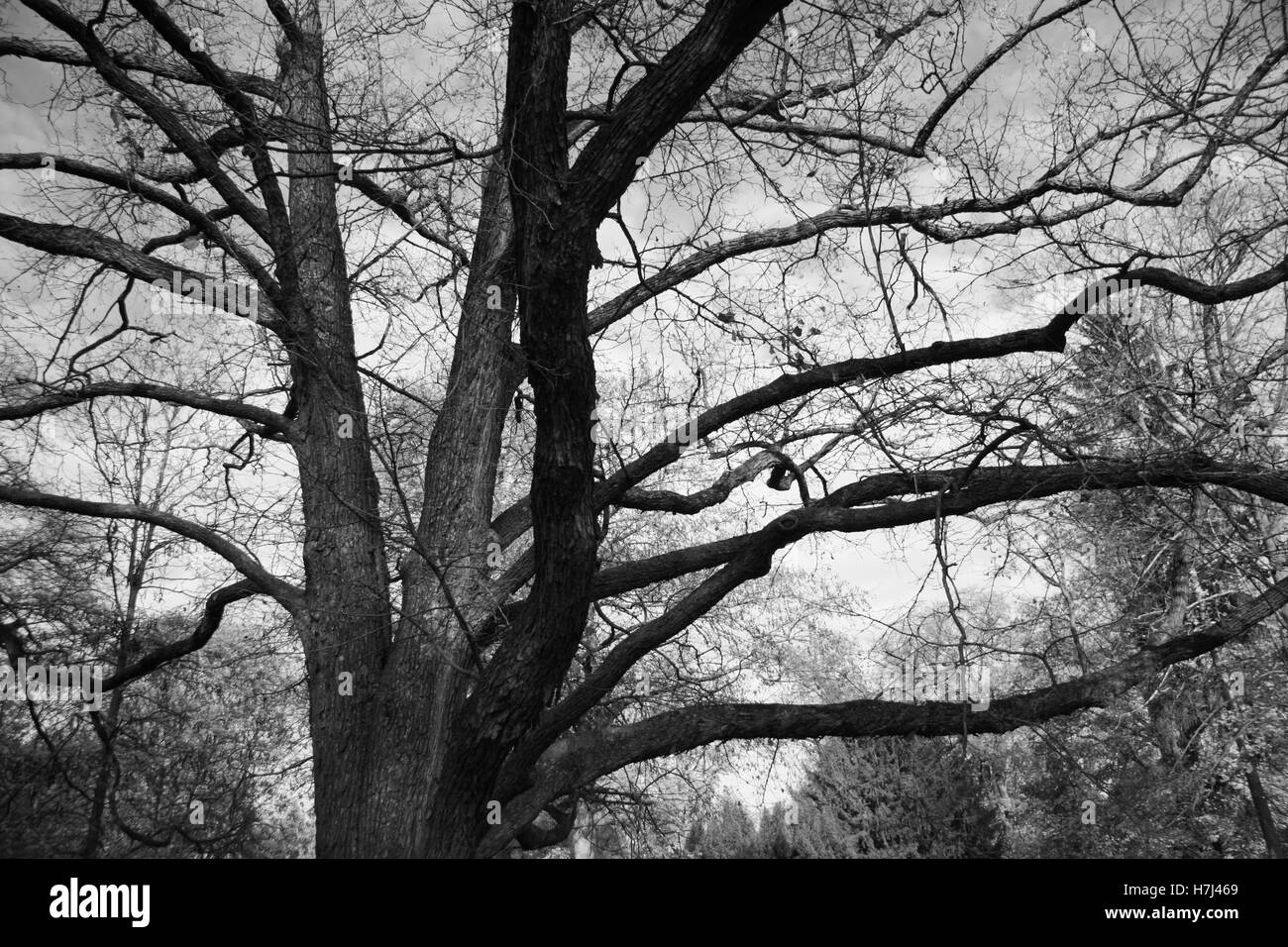 Bw black and white hi-res stock photography and images - Alamy