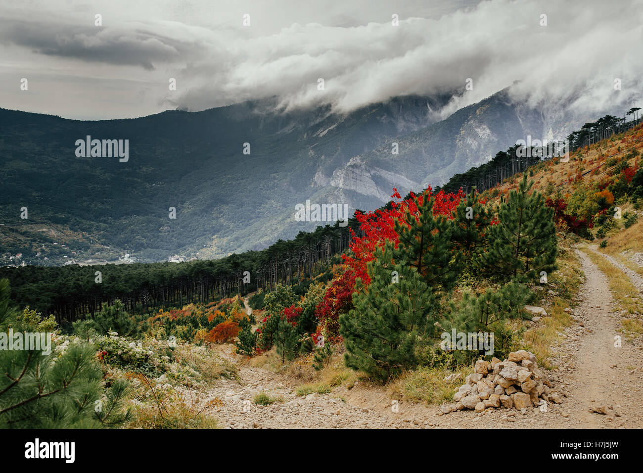 Crimea autumn mountain landscape. yellow and red leaves on trees ...