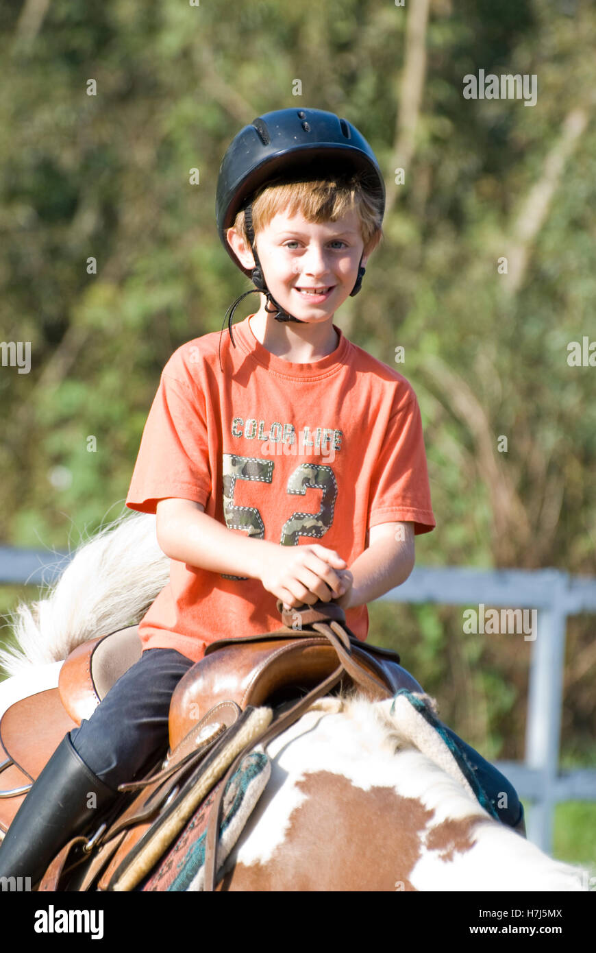 Boy with a horse hi-res stock photography and images - Alamy