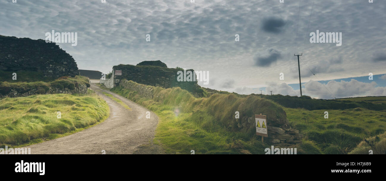 A country road winds it's way through a beautiful southern Irish ...