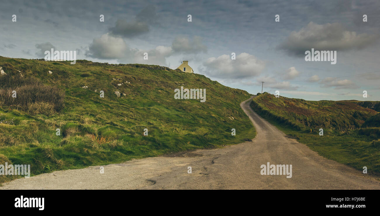 A country road winds it's way through a beautiful southern Irish ...