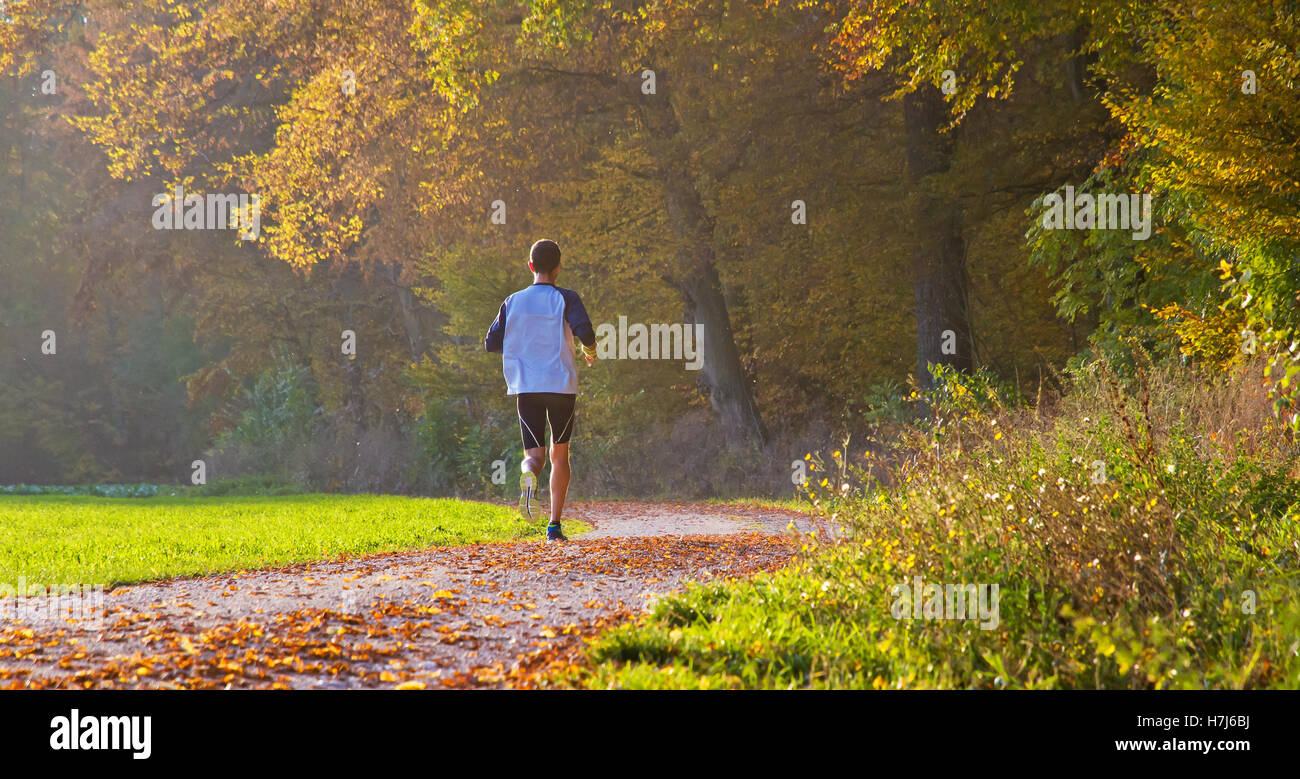 Man sweating forest hi-res stock photography and images - Alamy