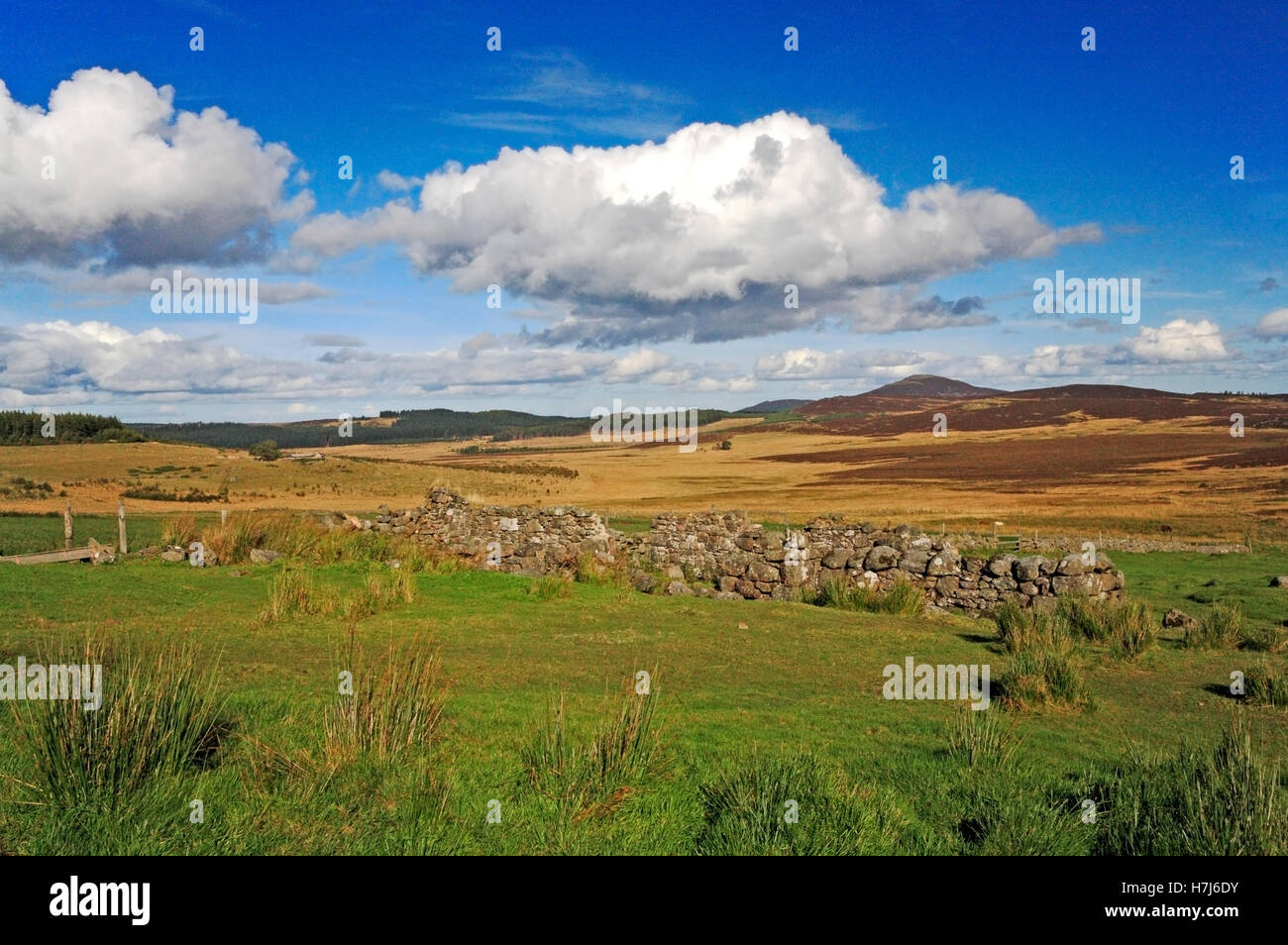 The remains of a croft by the A941 road on a sunny autumn day at ...