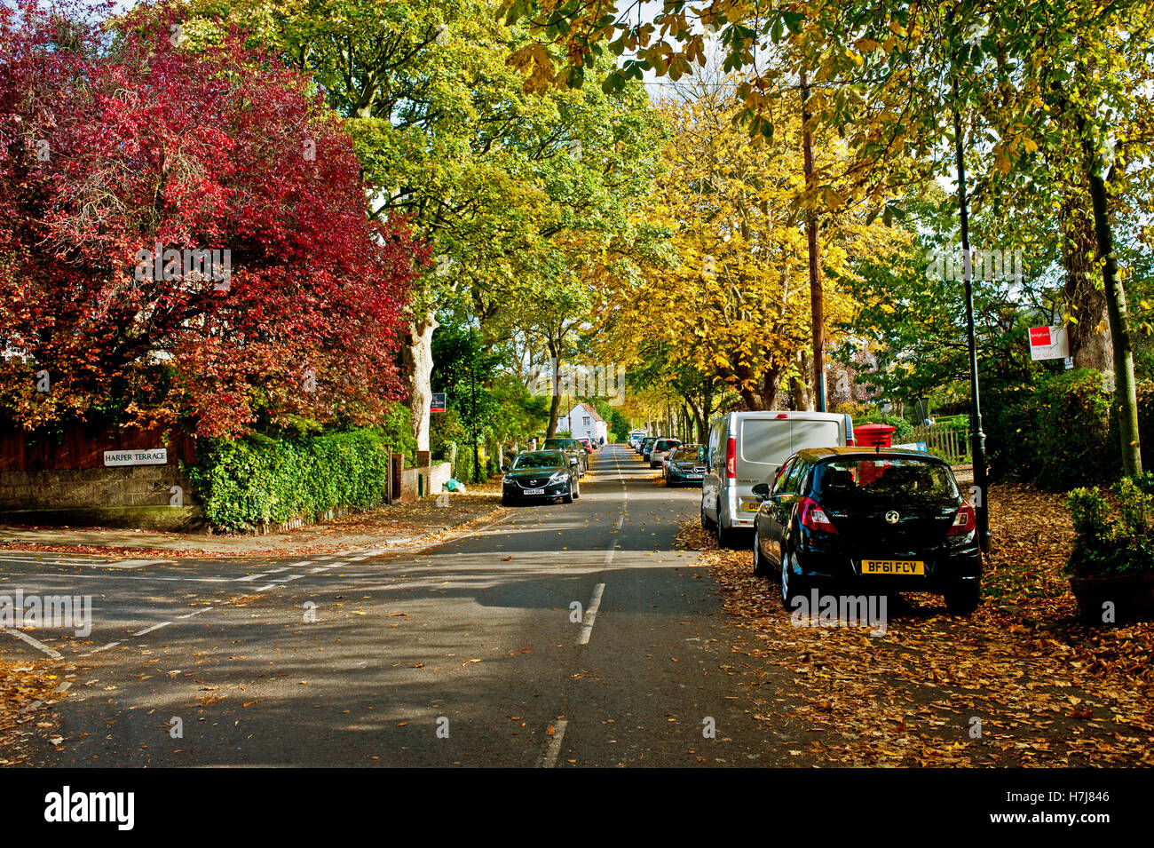 Hartburn village hi-res stock photography and images - Alamy