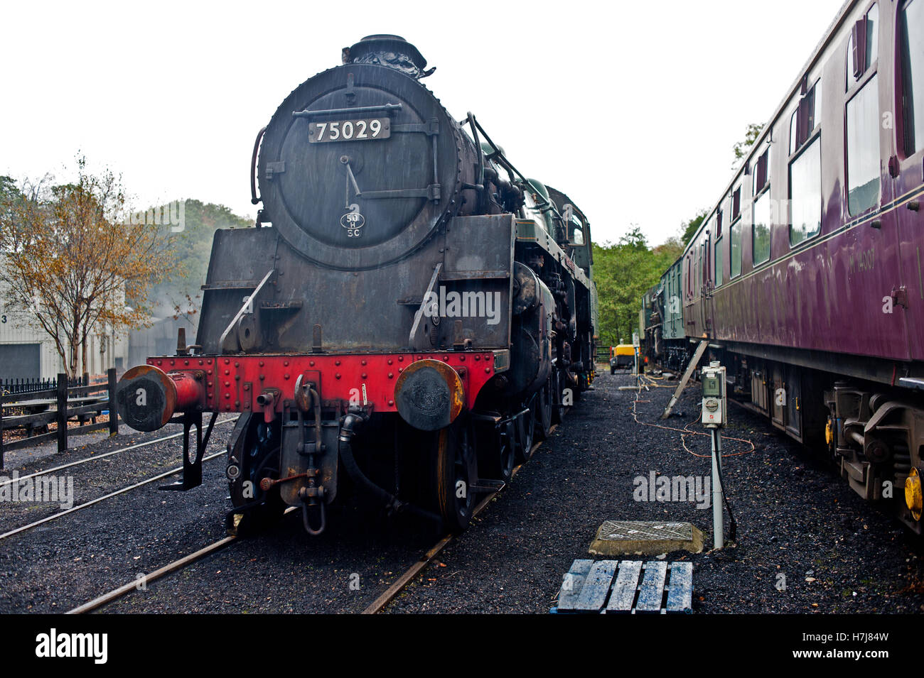 Standard Class Locomotive No 75029 at Grosmont Depot, North Yorkshire ...