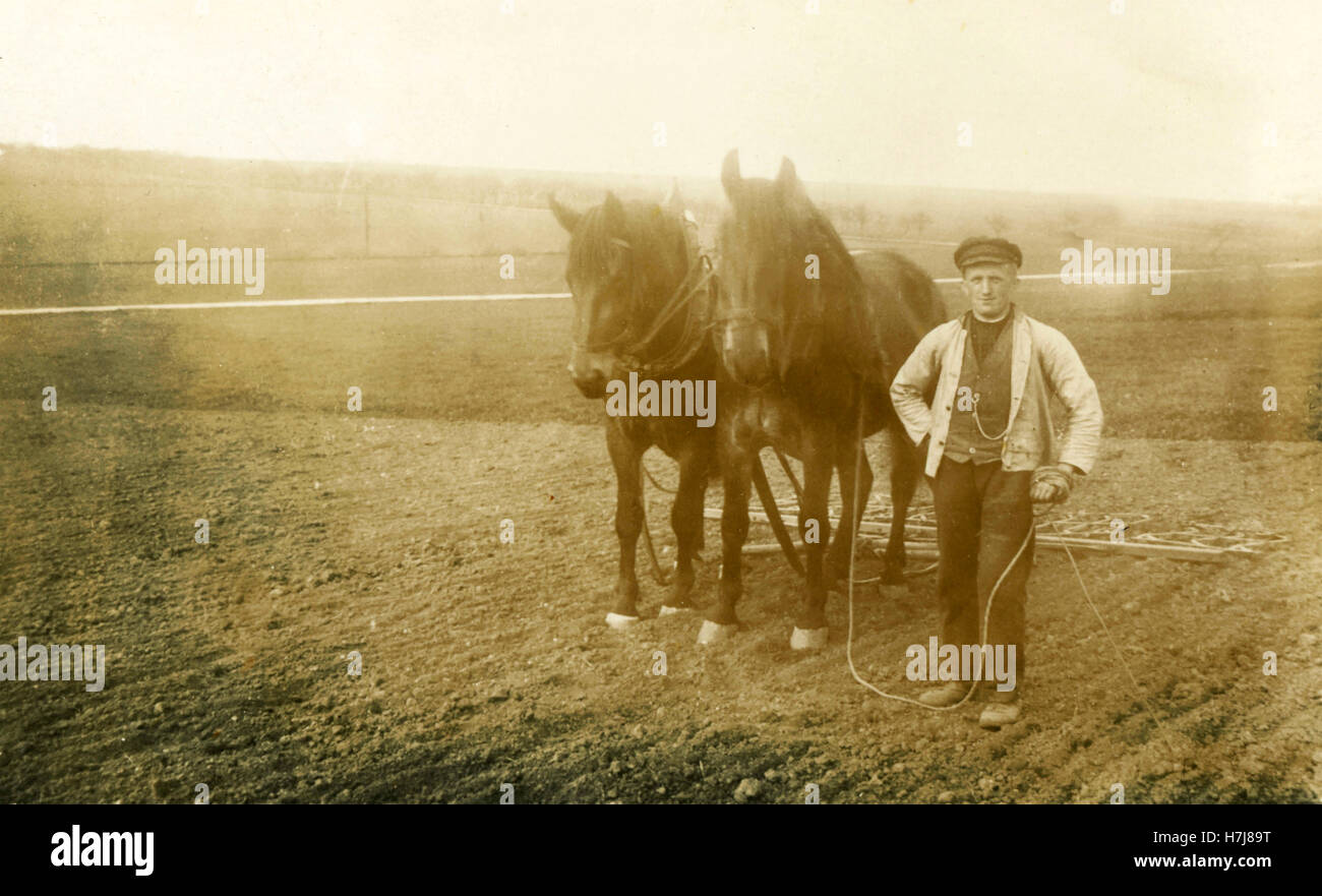 Working in the field with the horses, Germany Stock Photo - Alamy