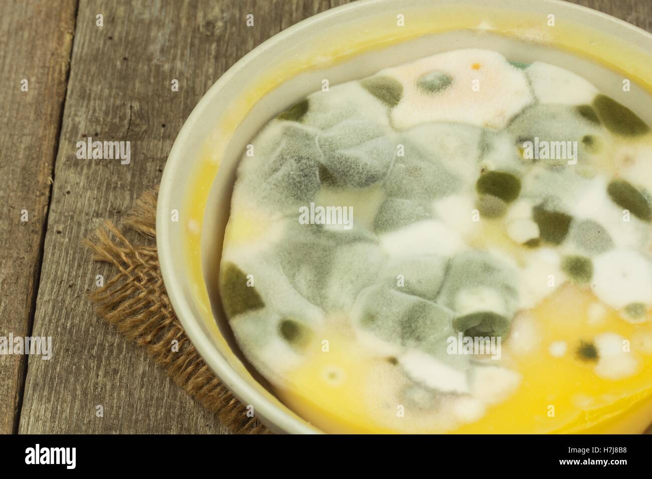 Moldy pudding. Poisonous food full of mold. Unhealthy food. Spores of ...