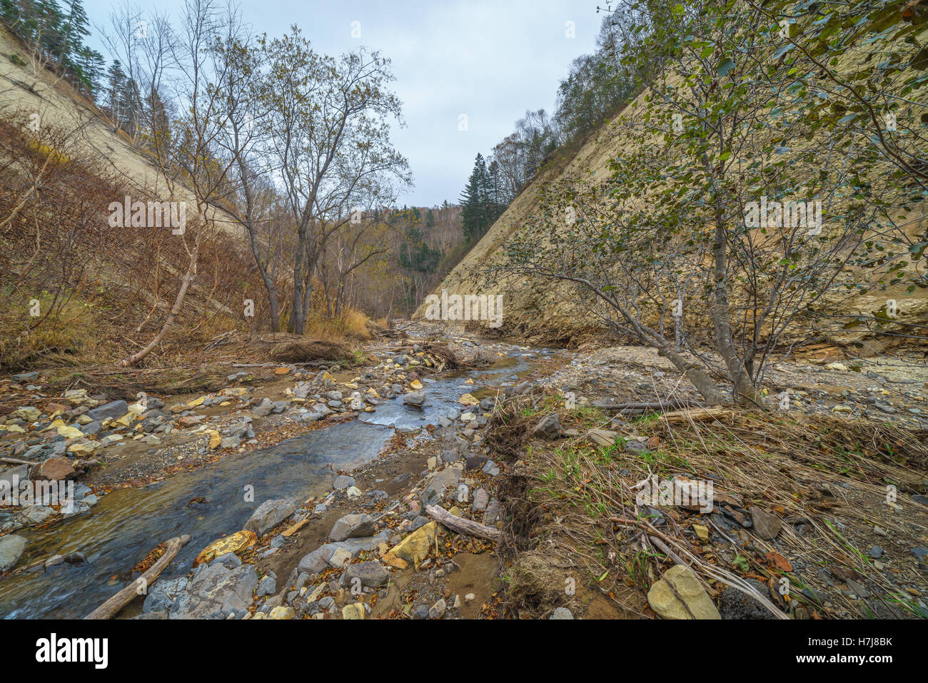 Gloomy late autumn on the river. Sakhalin Island, Russia Stock Photo ...