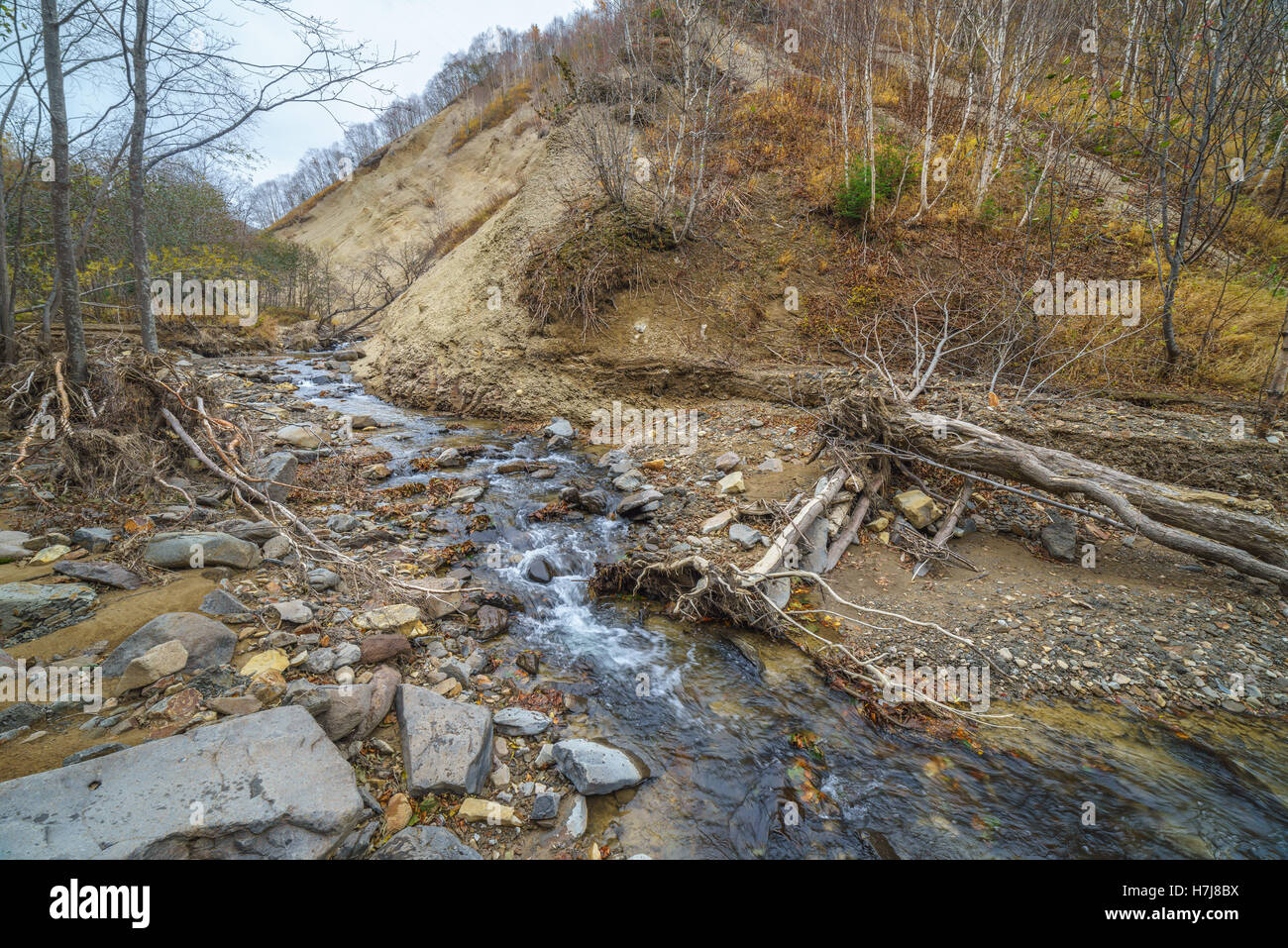 Gloomy late autumn on the river. Sakhalin Island, Russia Stock Photo ...