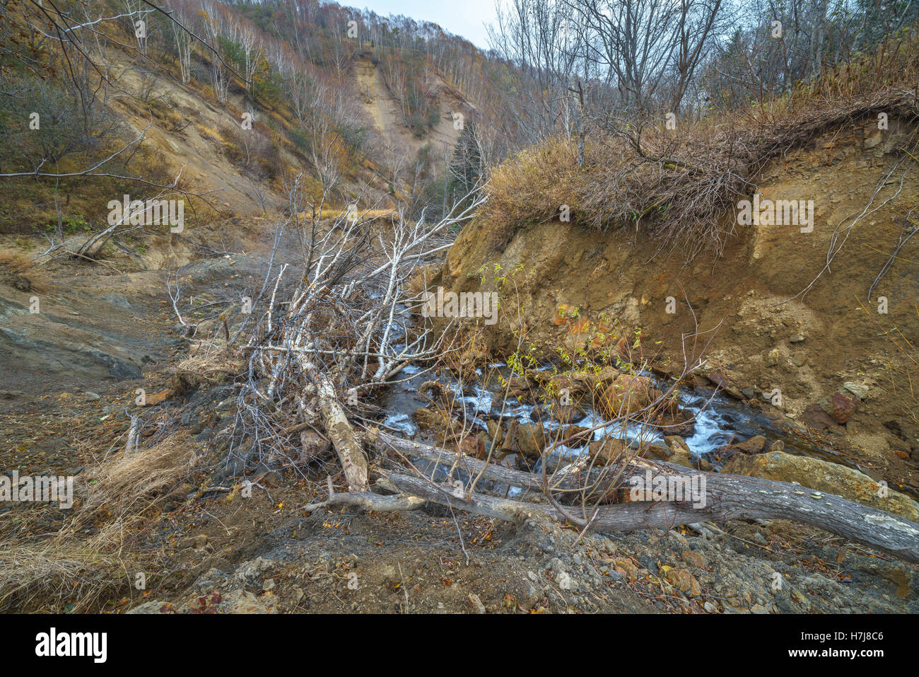 Sakhalin River Landscape High Resolution Stock Photography and Images ...