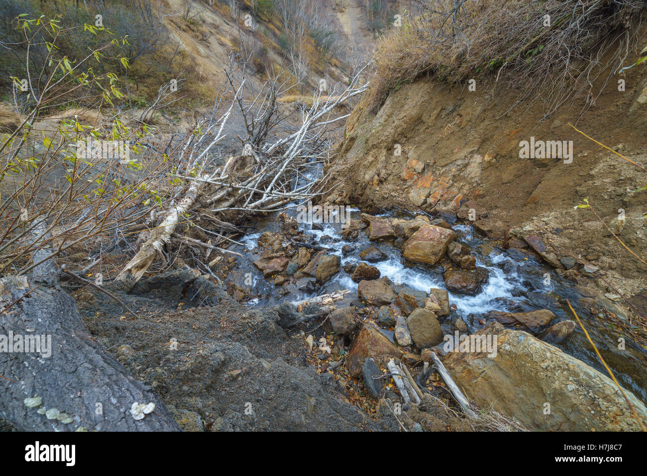 Sakhalin River Landscape High Resolution Stock Photography and Images ...