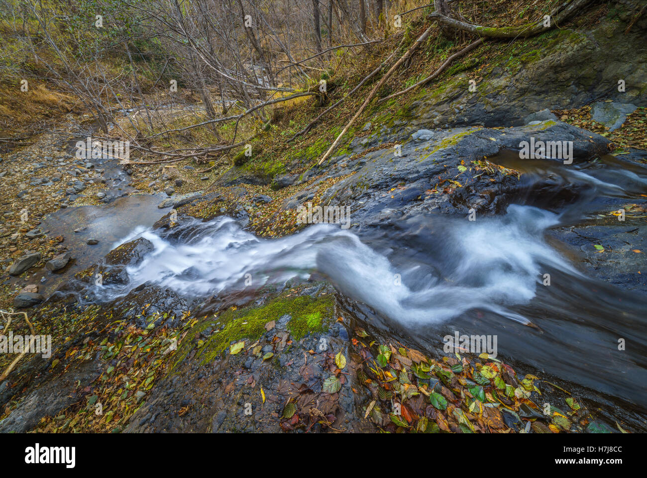 Waterfall in late autumn, Sakhalin Island, Russia Stock Photo - Alamy