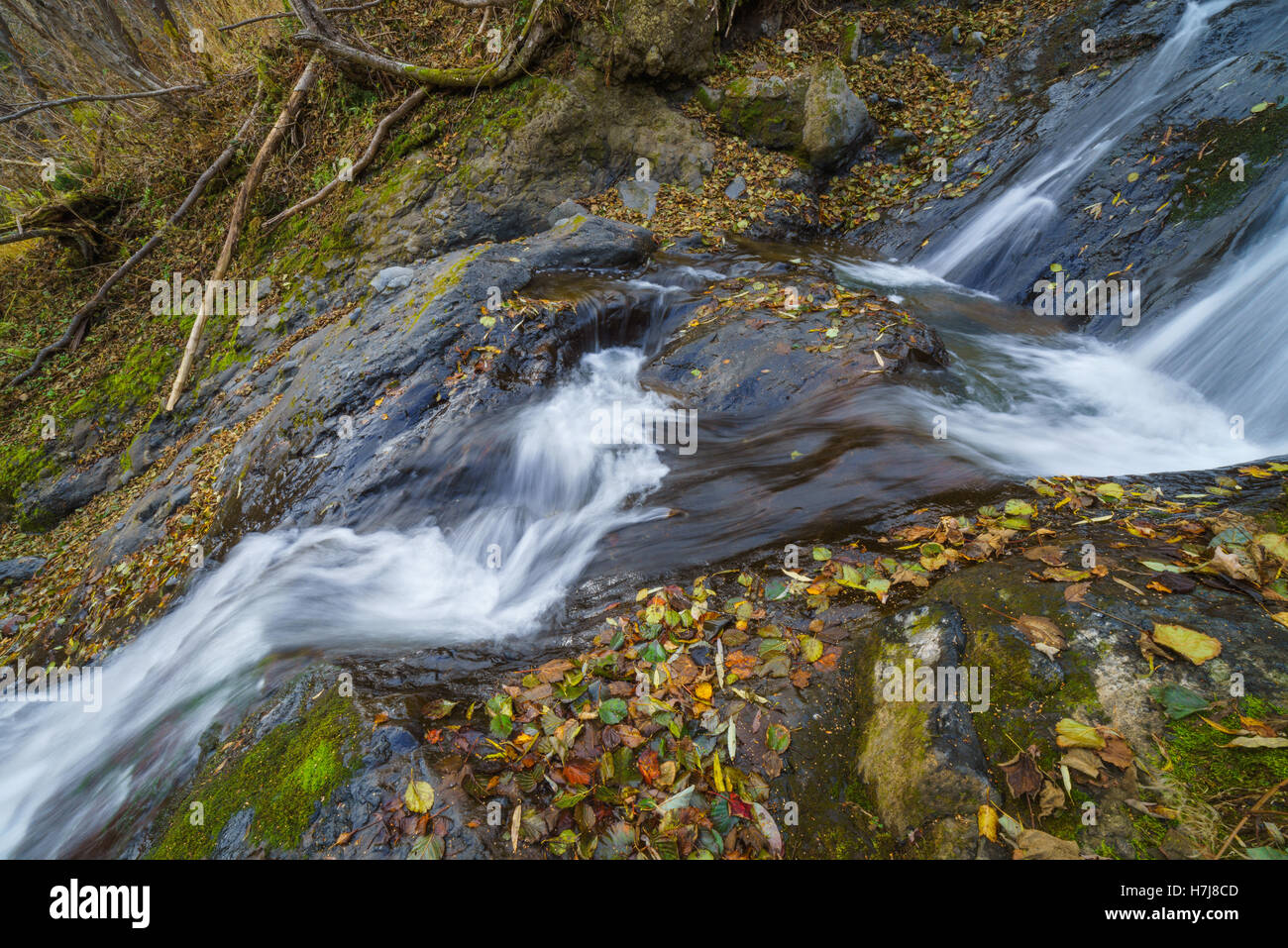 Waterfall in late autumn, Sakhalin Island, Russia Stock Photo - Alamy