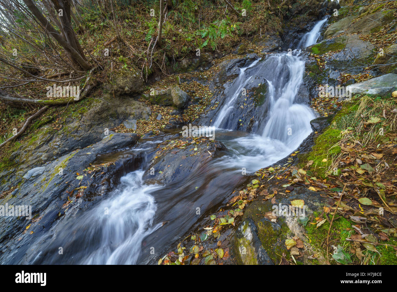 Waterfall in late autumn, Sakhalin Island, Russia Stock Photo - Alamy
