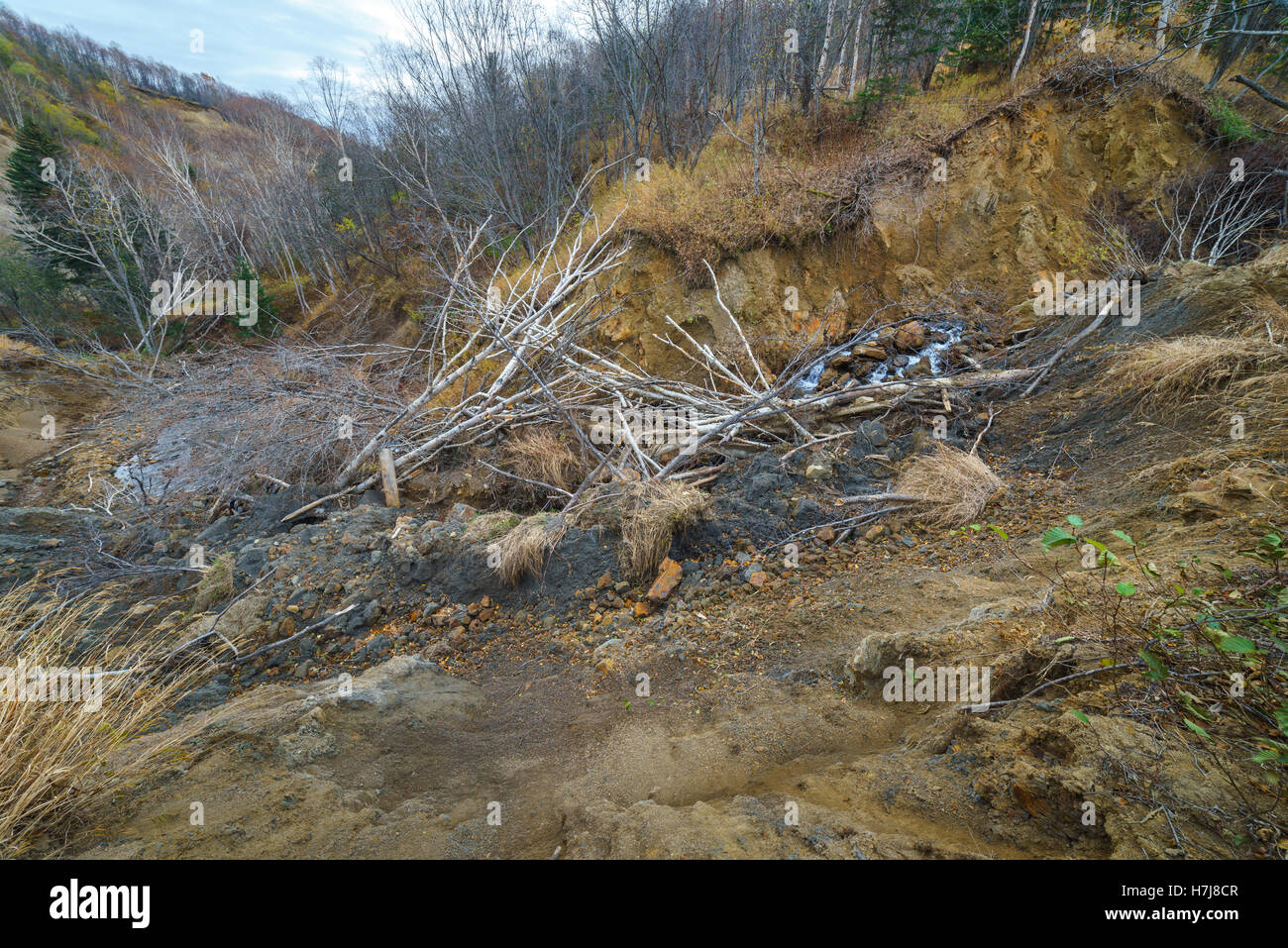 Sakhalin River Landscape High Resolution Stock Photography and Images ...