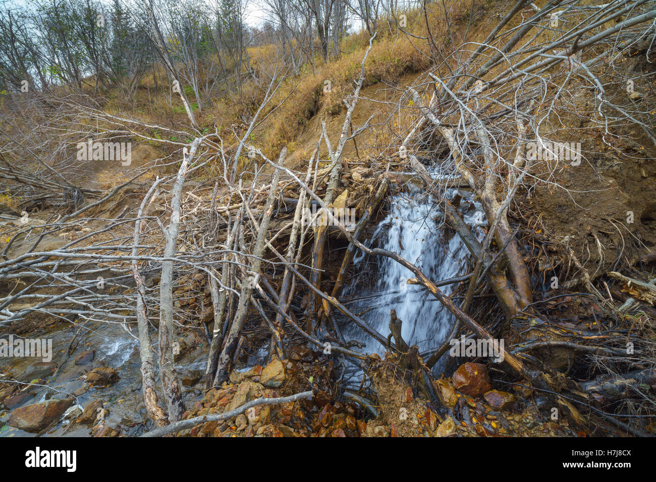 Russia far east sakhalin river hi-res stock photography and images - Alamy