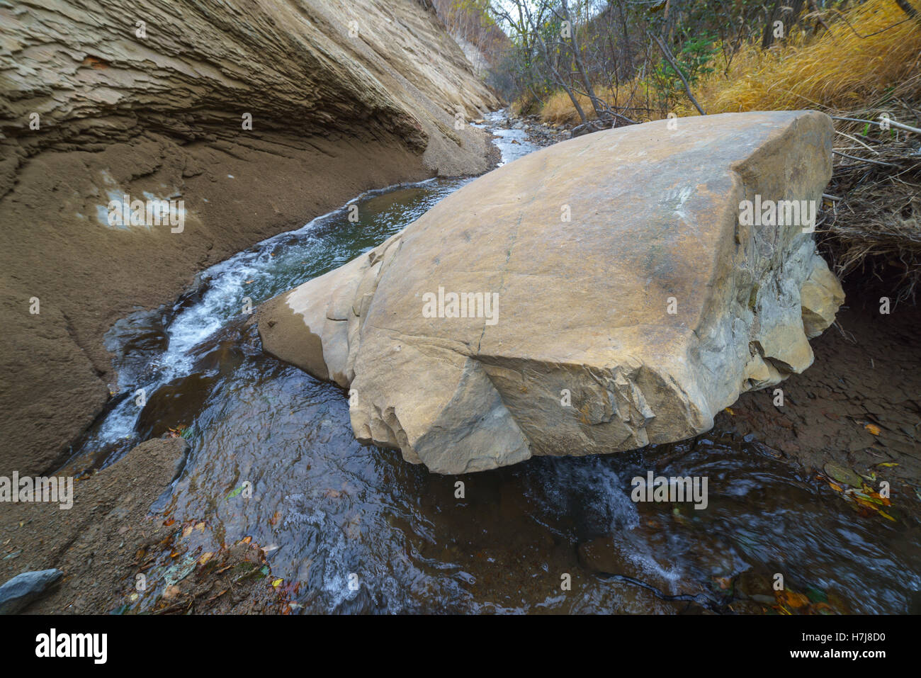 Sakhalin River Landscape High Resolution Stock Photography and Images ...