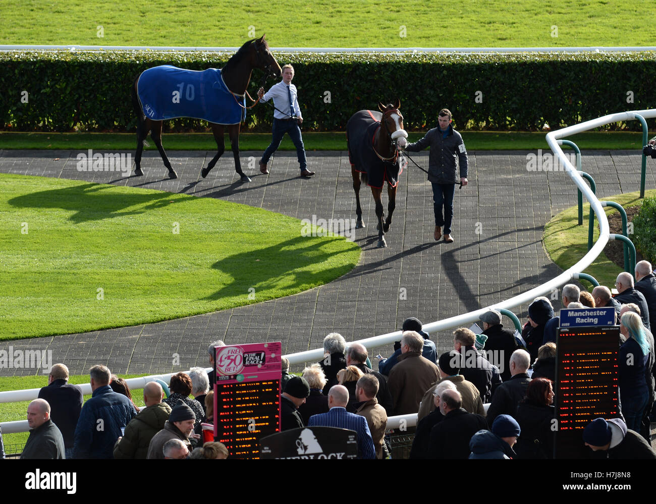 Horses in the parade ring before the first race at Doncaster Races ...