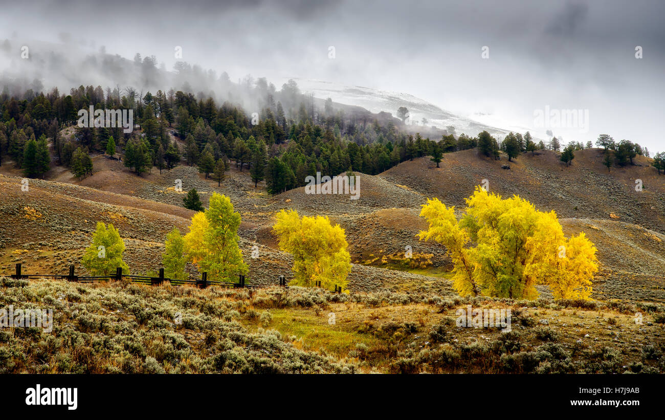 Scenic View of the Countryside in Yellowstone National Park Stock Photo ...