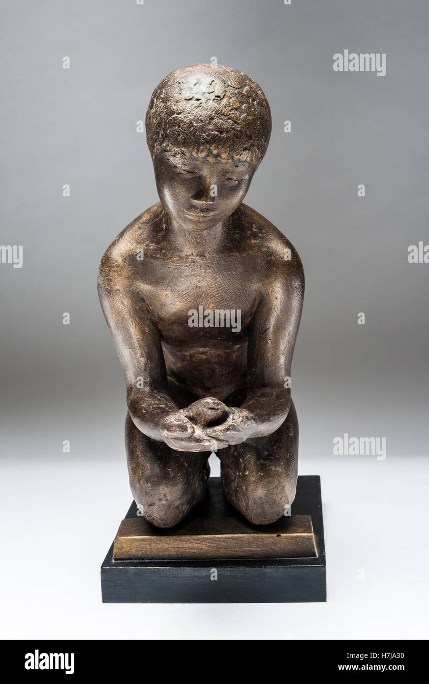 Young man holding frog hi-res stock photography and images - Alamy