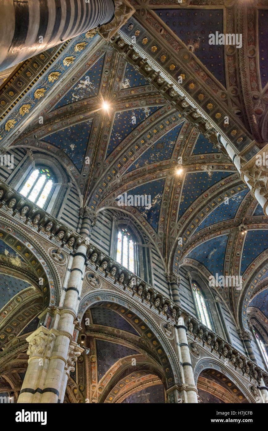 The ceiling of the Siena Duomo, Tuscany, Italy Stock Photo - Alamy