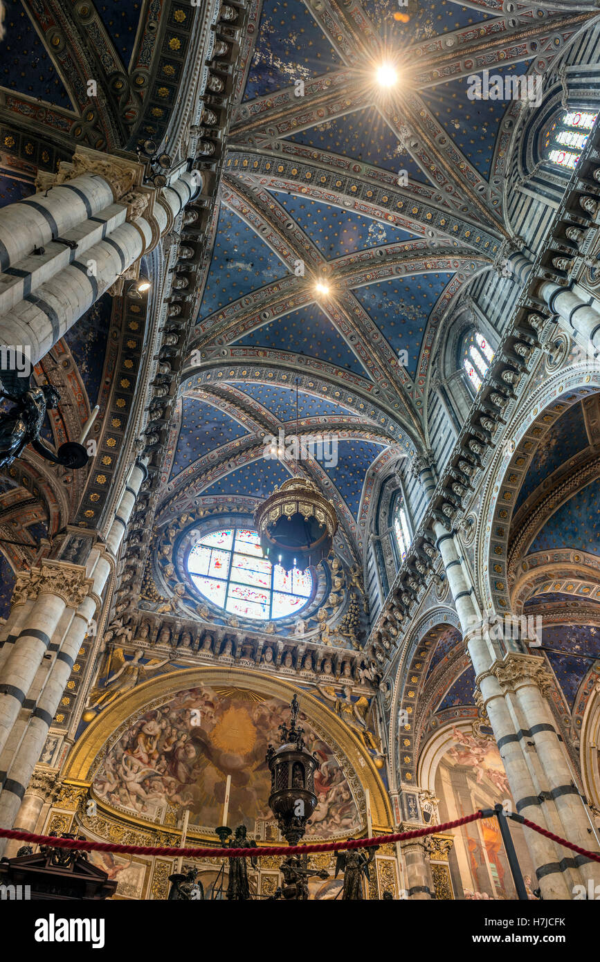 Siena duomo interior hi-res stock photography and images - Alamy