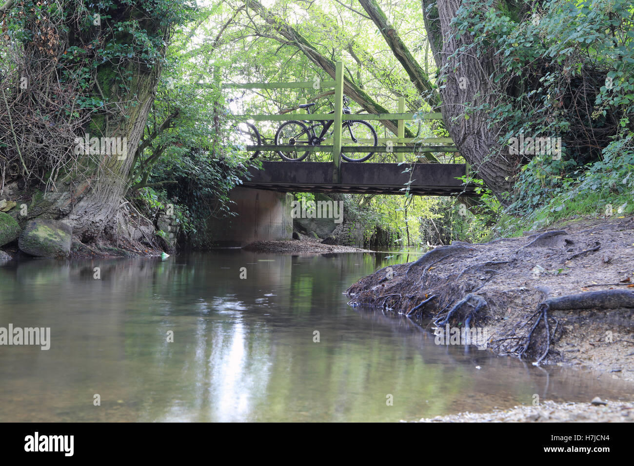 Stream flowing under woodland bridge in the Cotswolds, England Stock ...