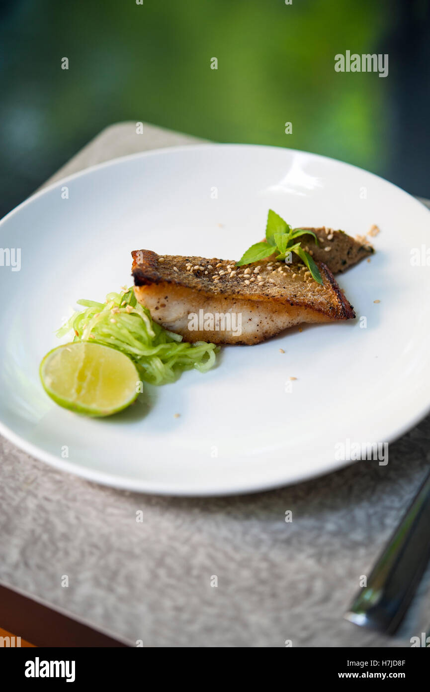 Croak fish hi-res stock photography and images - Alamy